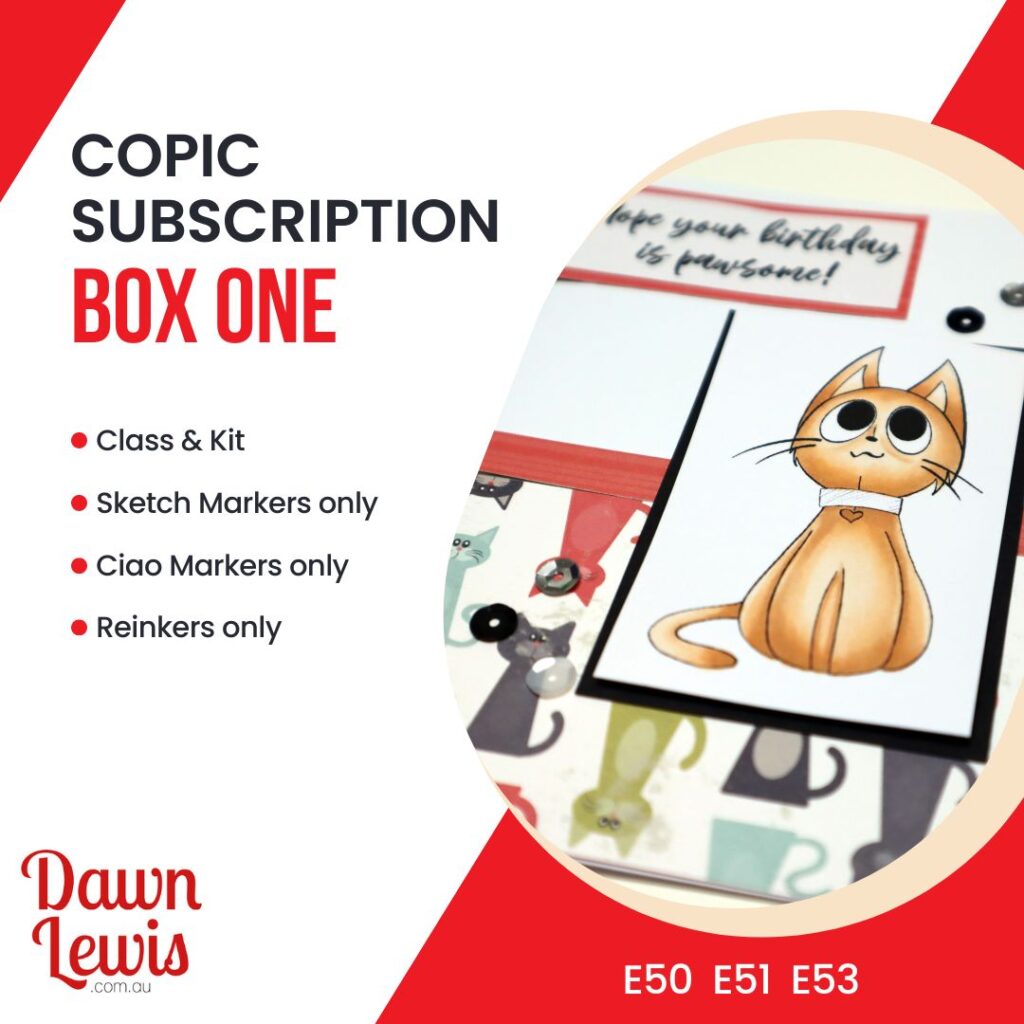 Copic Subscription Box #1 - E50, E51, E53