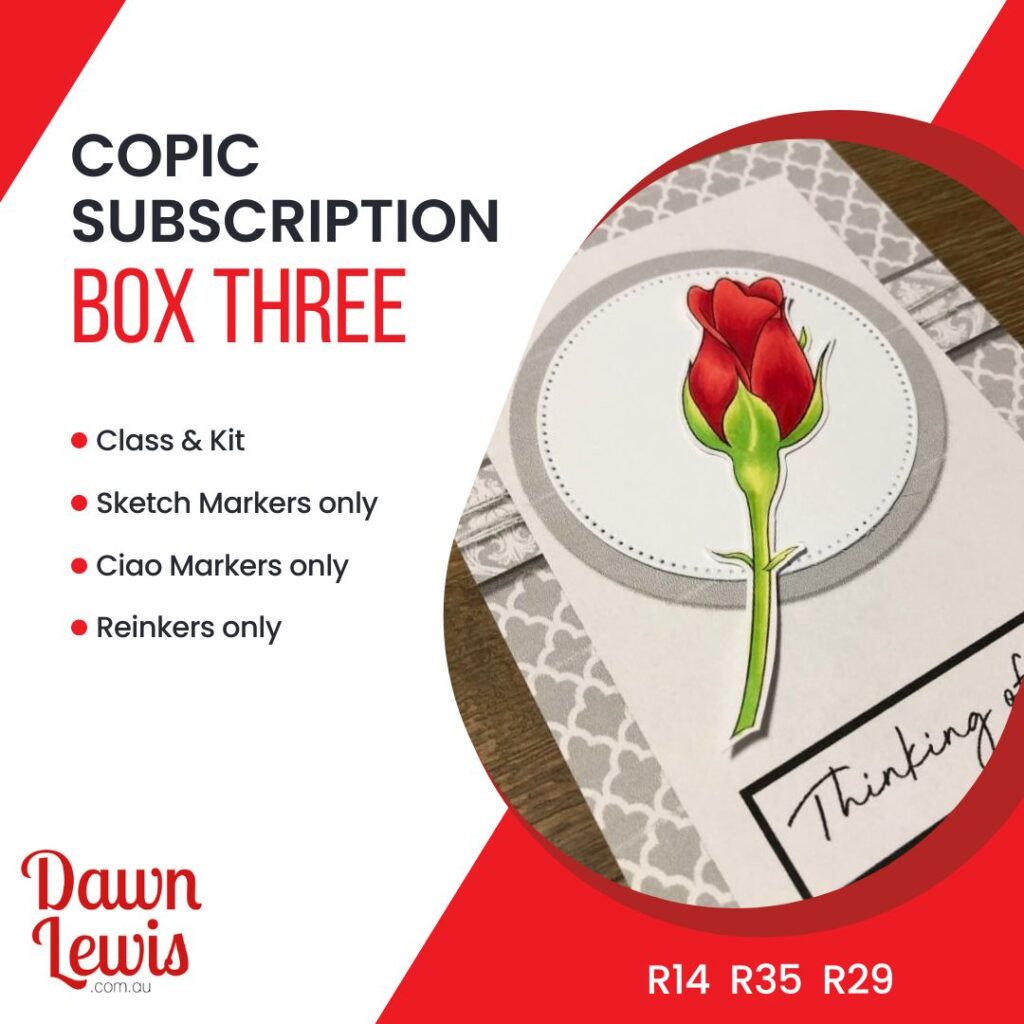 Copic Subscription Box #3 - R14, R35, R29