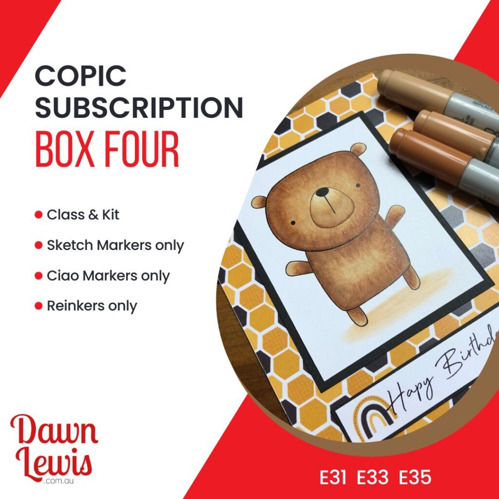 Copic Subscription Box #4 - E31, E33, E35